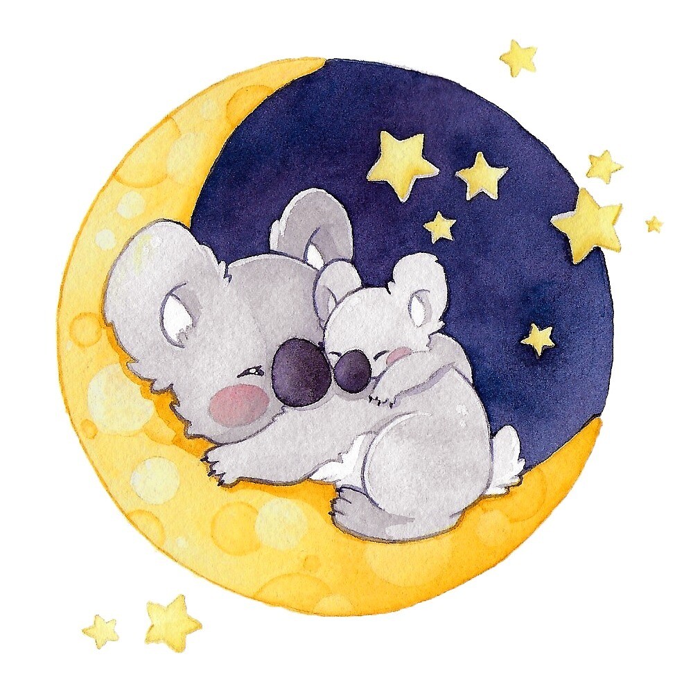 "Goodnight Koala" by zixmix | Redbubble
