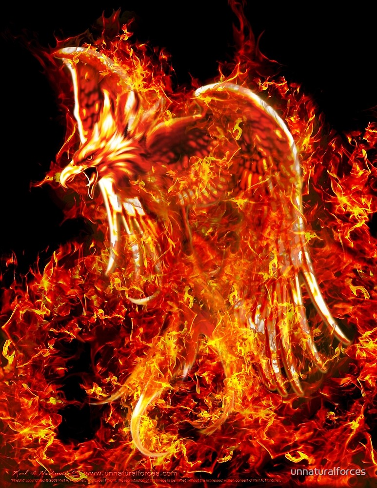 "Firebird" by unnaturalforces | Redbubble