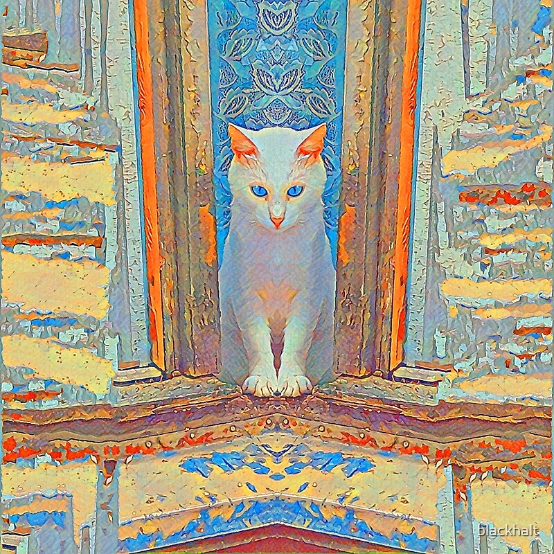 "Symmetrical cat" by blackhalt | Redbubble