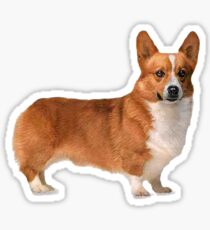 Corgi: Gifts & Merchandise | Redbubble