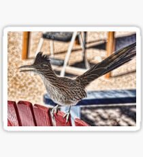 Road Runner: Stickers | Redbubble