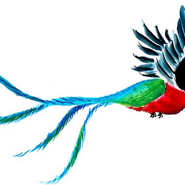 "Flying Quetzal in Watercolor" Sticker for Sale by julyperson | Redbubble