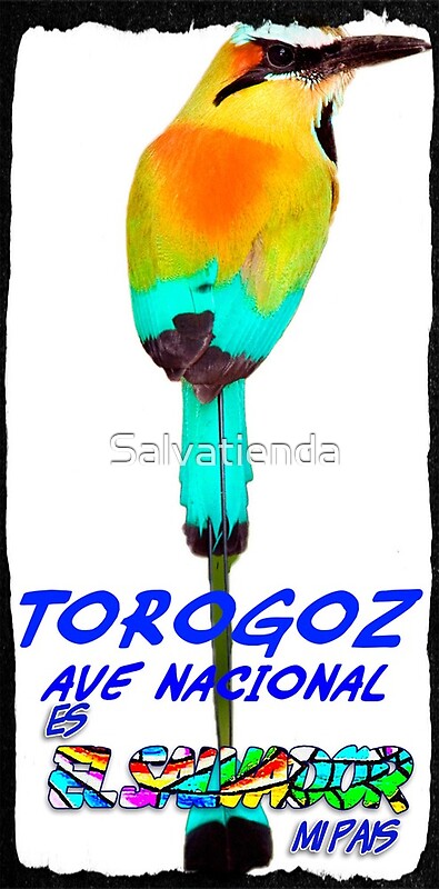 "Torogoz national bird of El Salvador" by Salvatienda | Redbubble