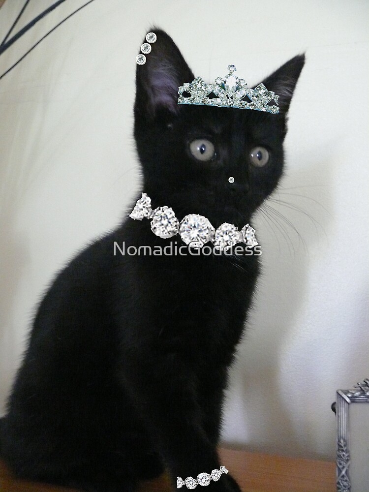 "Pimp My Cat ~ ftloccontest1" by NomadicGoddess | Redbubble