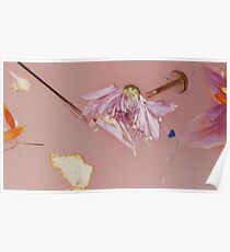 Harry Styles: Posters | Redbubble