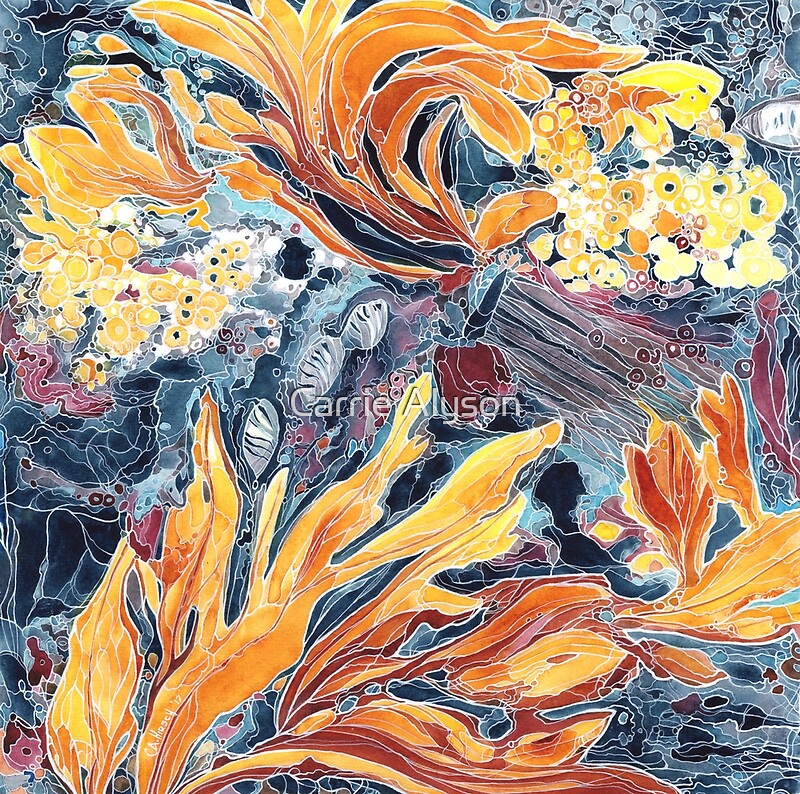 "Sitka Tidepool" by Carrie Alyson | Redbubble
