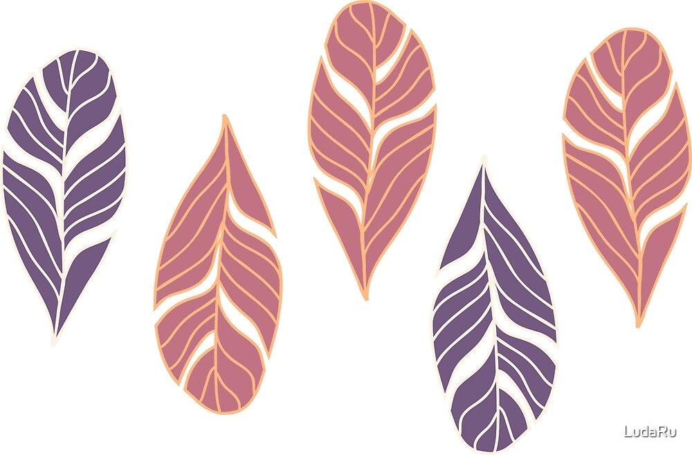 "Colored fethers" by LudaRu | Redbubble