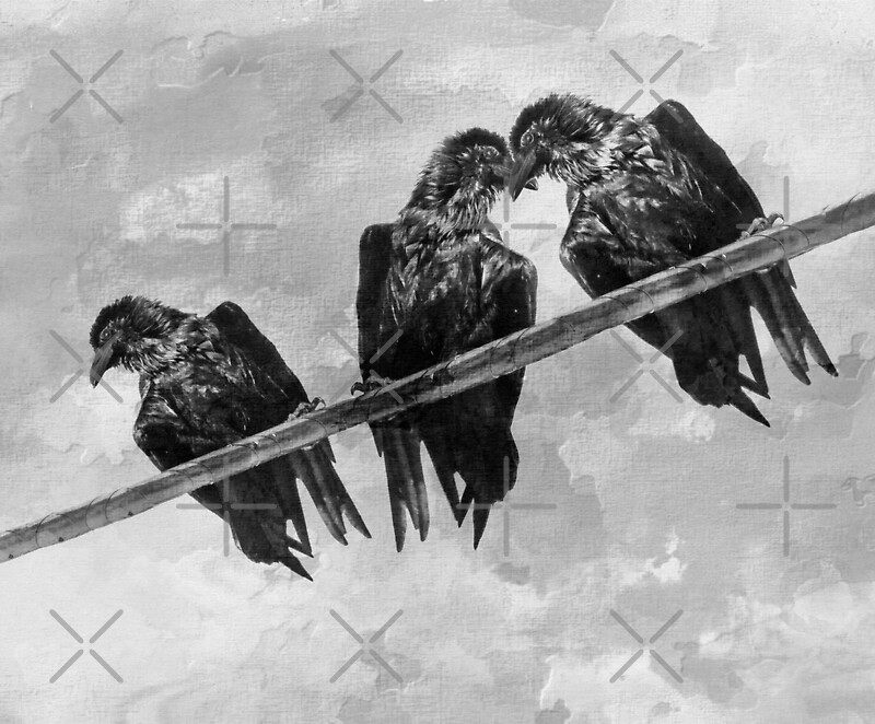 "Three Ravens" by CarolM | Redbubble