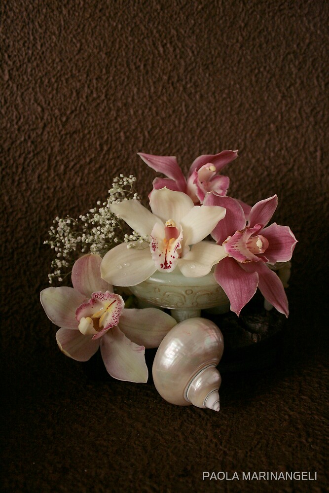 "Still life with Orchids, sea shell and chinese jade" by PAOLA ...