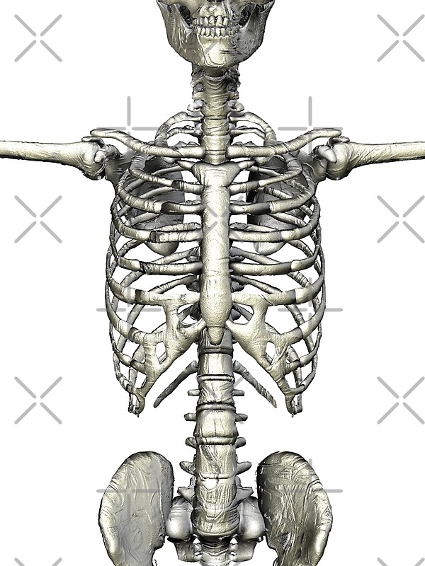 "Silver Bones" by Derya Çakırsoy | Redbubble