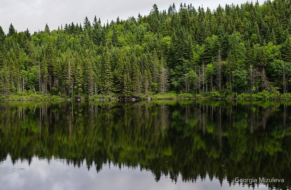 "Still Forest Lake Reflections - Charlevoix, Quebec, Canada" by Georgia ...
