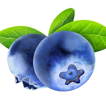 "Two blueberries" Sticker for Sale by 6hands | Redbubble