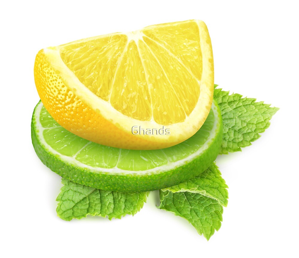 "Lemon, lime and mint leaf" by 6hands | Redbubble