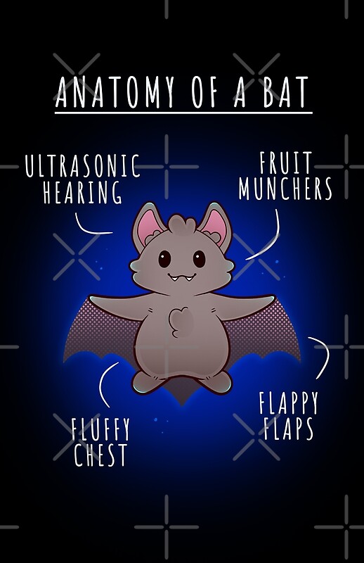 "Anatomy of a bat, Cute halloween bat" by Mossysplashart | Redbubble