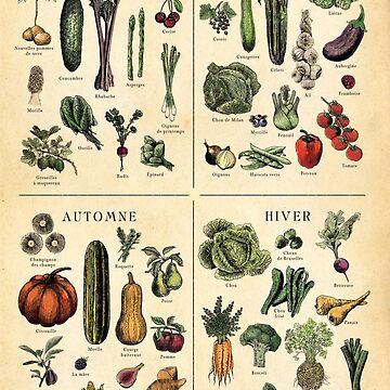 "FRENCH Seasonal Fruit and Veg Chart " Poster for Sale by Highdown73 ...