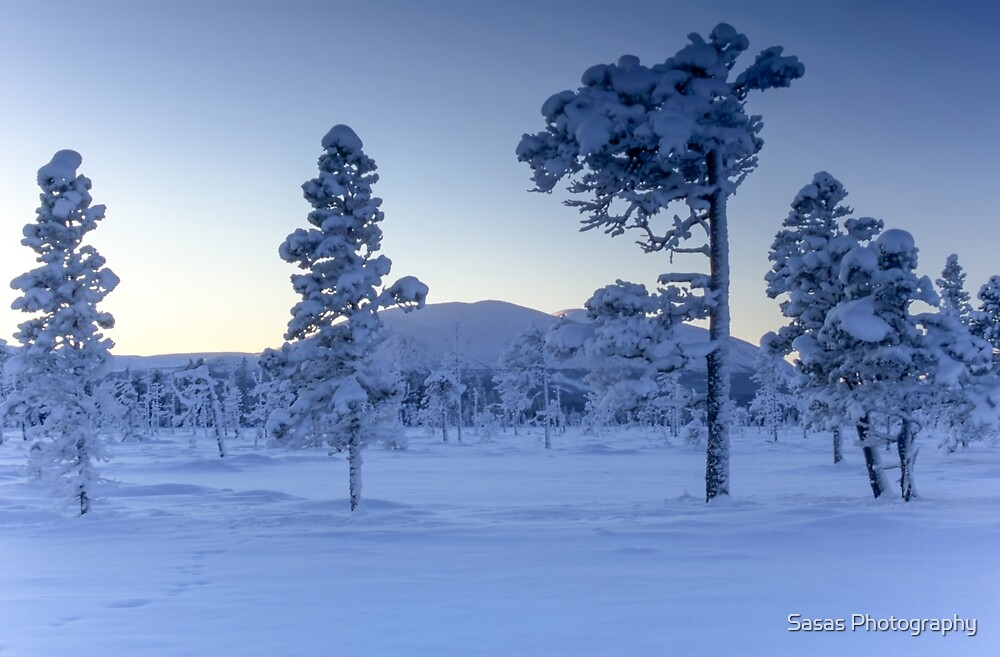 "Cold winter day" by Sasas Photography | Redbubble