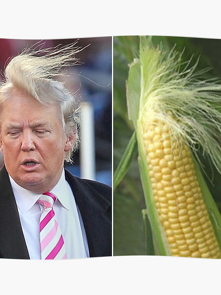 Red Mosquito • View topic - The 45th POTUS - Donald J. Trump