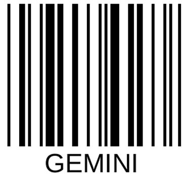 "Gemini code" Sticker for Sale by Yelenaday | Redbubble