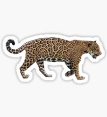 Jaguar Stickers | Redbubble