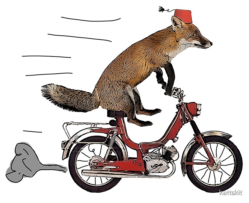 "moped fox" by kattskit | Redbubble