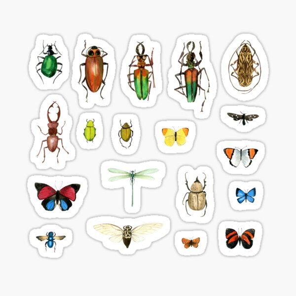 Insect Stickers | Redbubble