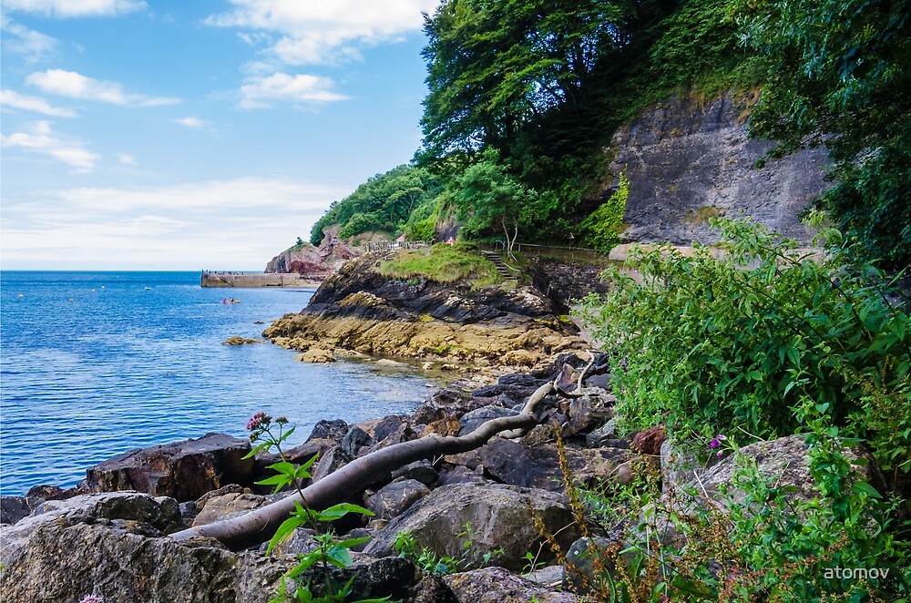 "The Beautiful Wild Side of Babbacombe Bay, Devon, England" by atomov ...