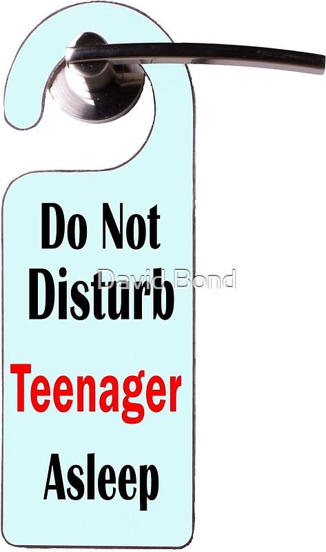 "Do Not Disturb Door Hanger" by David Bond | Redbubble