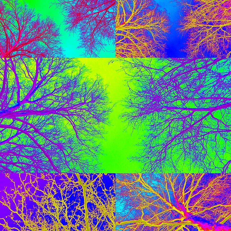 "Tree of Life Collage" by CateJacobs | Redbubble