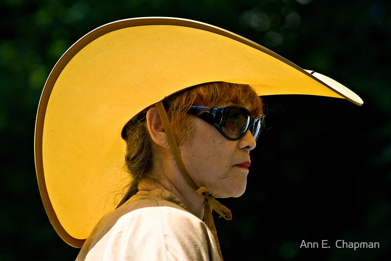 "Amazing Hat" by Ann E. Chapman | Redbubble