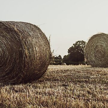 "Hay balee " Poster for Sale by murphy3art | Redbubble