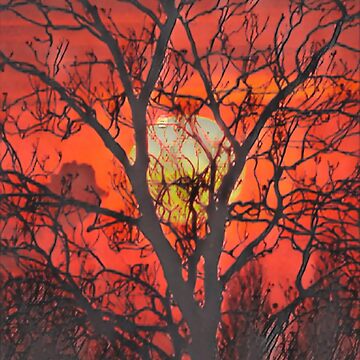 "Spooky Tree In Red Etching" Postcard for Sale by Fearless-Fox | Redbubble