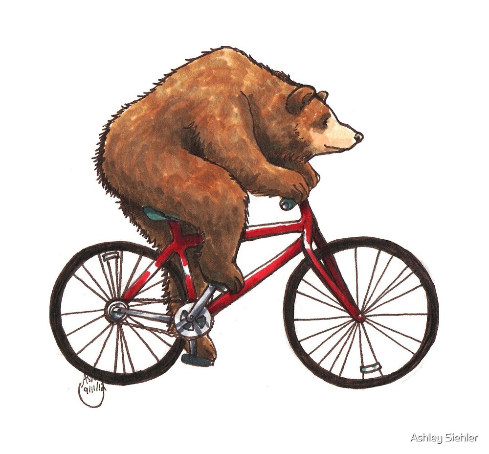 "Bear on a Bike" by Ashley Siehler | Redbubble