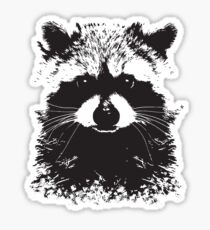Trash Panda: Stickers | Redbubble