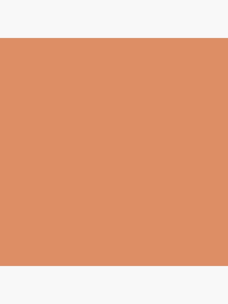 "Copper Tan 16-1338 TCX | Pantone | Color Trends | London | Fall Winter ...