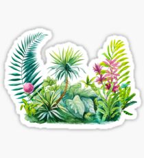 Rainforest Stickers | Redbubble