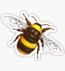 Bumblebee Stickers | Redbubble