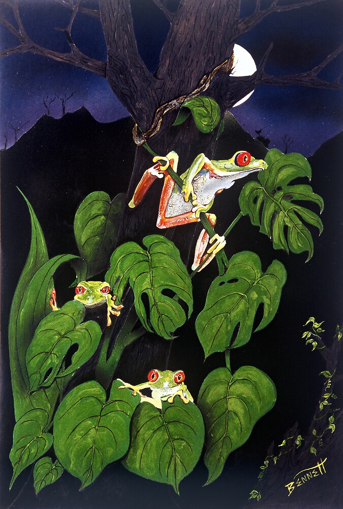 "Trio Frogs" by Fredrick Bennett | Redbubble
