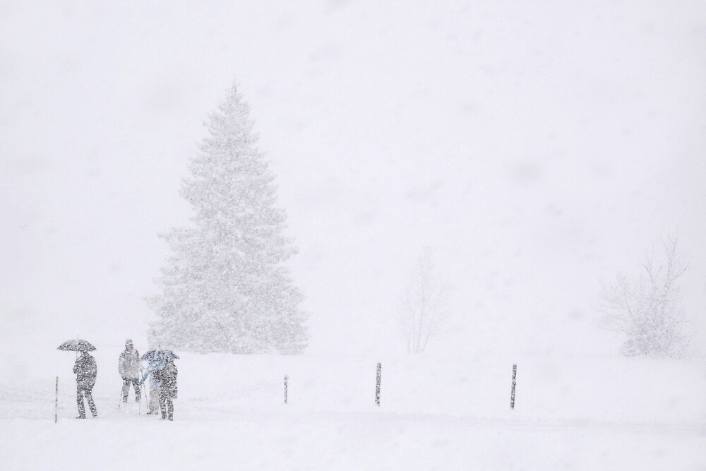 "Not afraid of a little bit of snow" by Arie Koene | Redbubble
