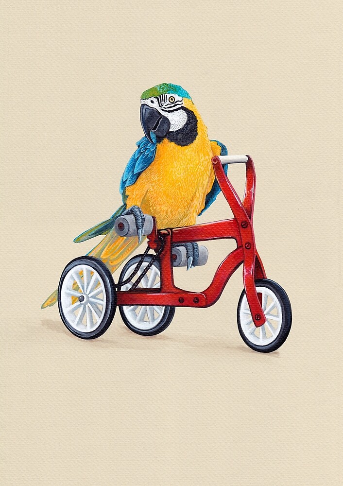 "Parrot Macaw bike red" by Ruta | Redbubble