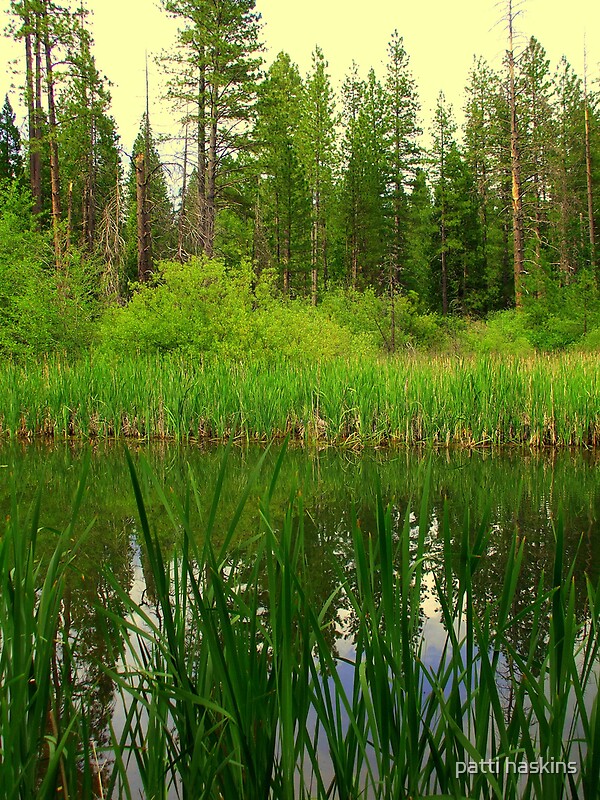 "Grace Lake, Shingletown Ca." by patti haskins | Redbubble
