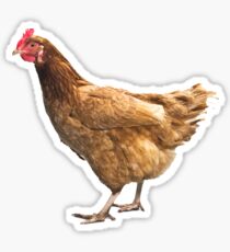 Chicken Stickers | Redbubble