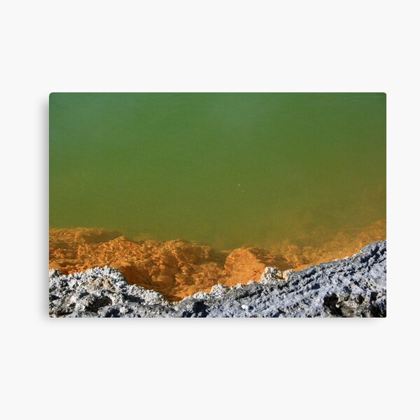 Tony Waite Shop | Redbubble