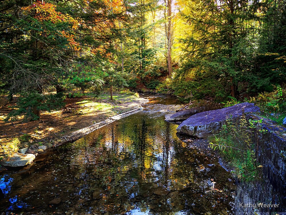 "Laurel Run - Parker Dam State Park, PA" by Kathy Weaver | Redbubble