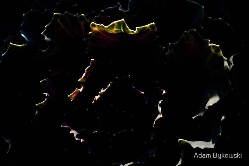 "Find Your Way Back" by Adam Bykowski | Redbubble