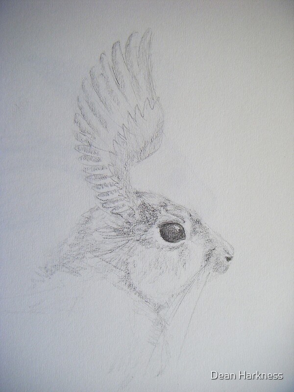 "Bunny Wings" by Dean Harkness | Redbubble