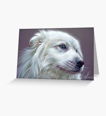 Samoyed: Gifts & Merchandise | Redbubble