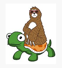 Sloth Riding Turtle: Wall Art | Redbubble | Redbubble