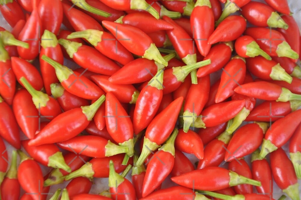 "piri piri chilli" by JoanaRamos | Redbubble