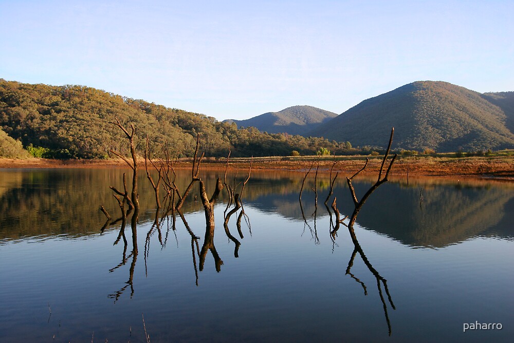 "Drowning Trees" by paharro | Redbubble