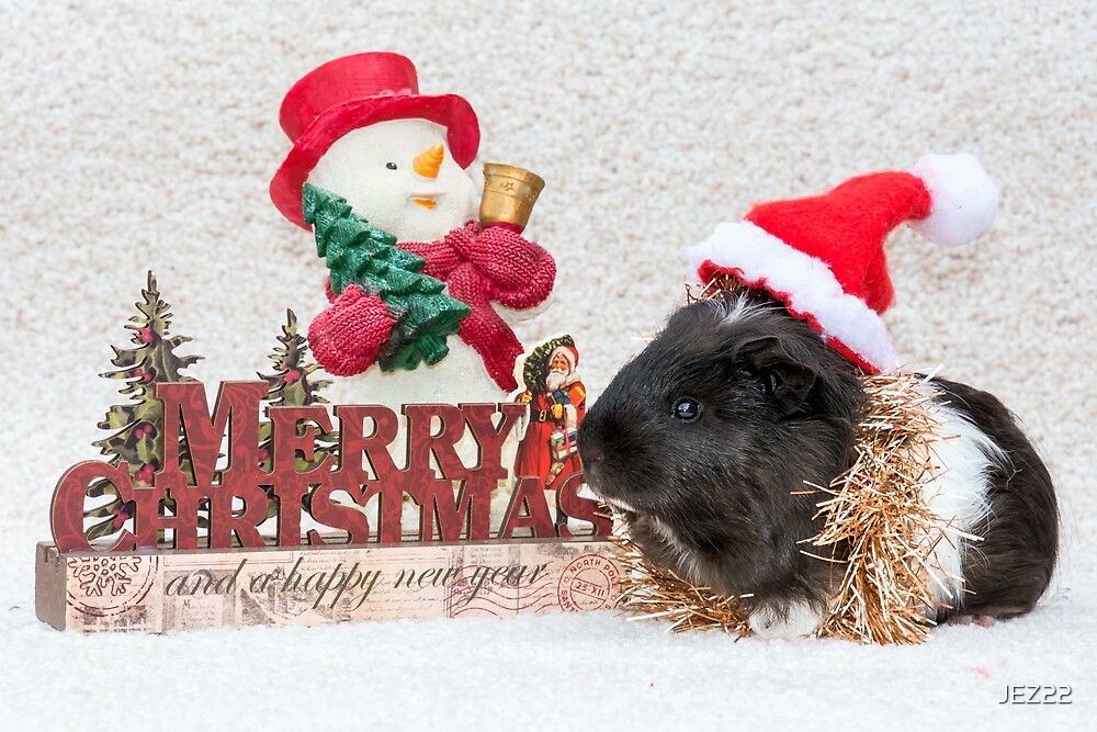 "Coco's Christmas greeting" by JEZ22 | Redbubble